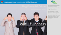 Willful Blindness - Flag Financial Crime | Tamlo International Canada